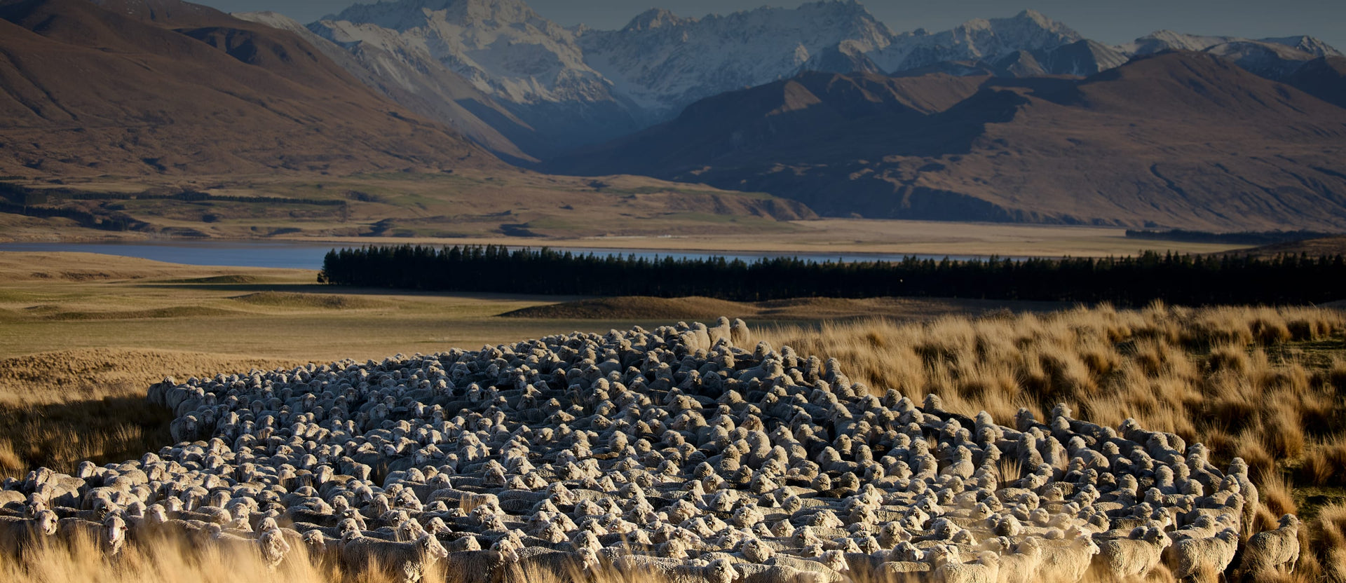 History – icebreaker