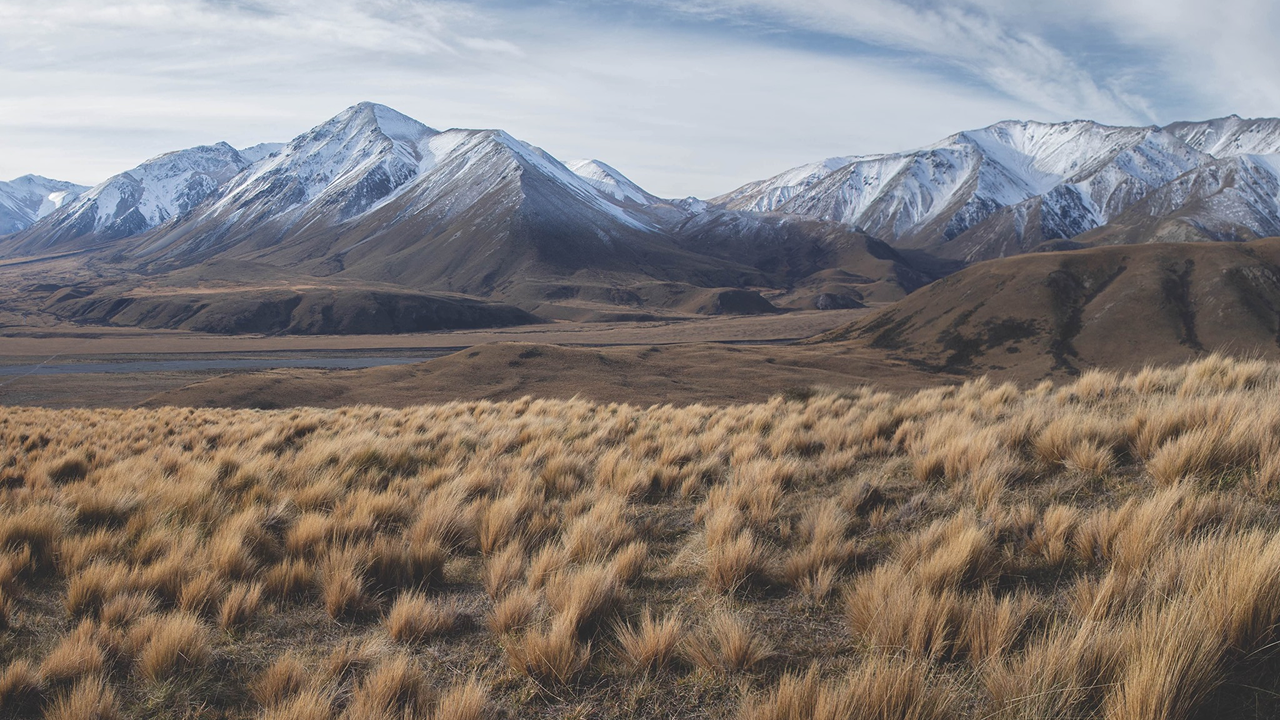 Pro Deal Member – icebreaker